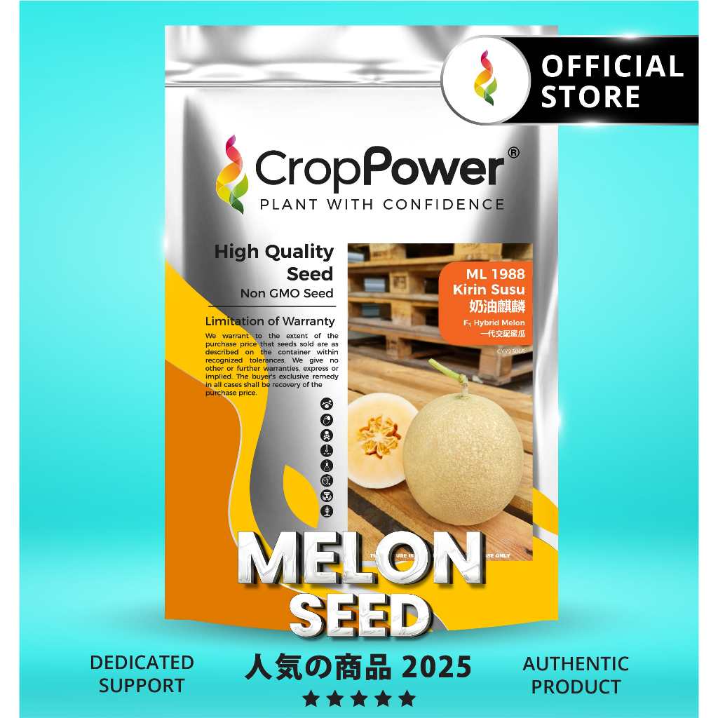 (500 SEEDS) Biji Benih Melon Kirin Susu 奶油麒麟 ML1988 CROP POWER F1 ...