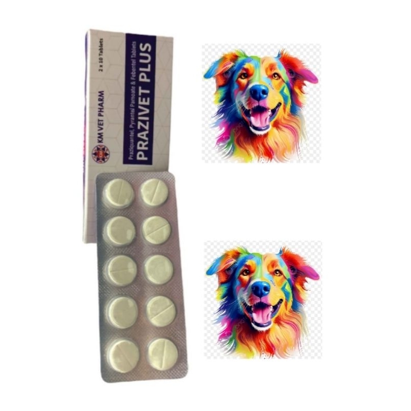 Exp:2028 June / 1 Tablet 1 Biji Prazivet Plus Deworm Dog Deworming Worm ...