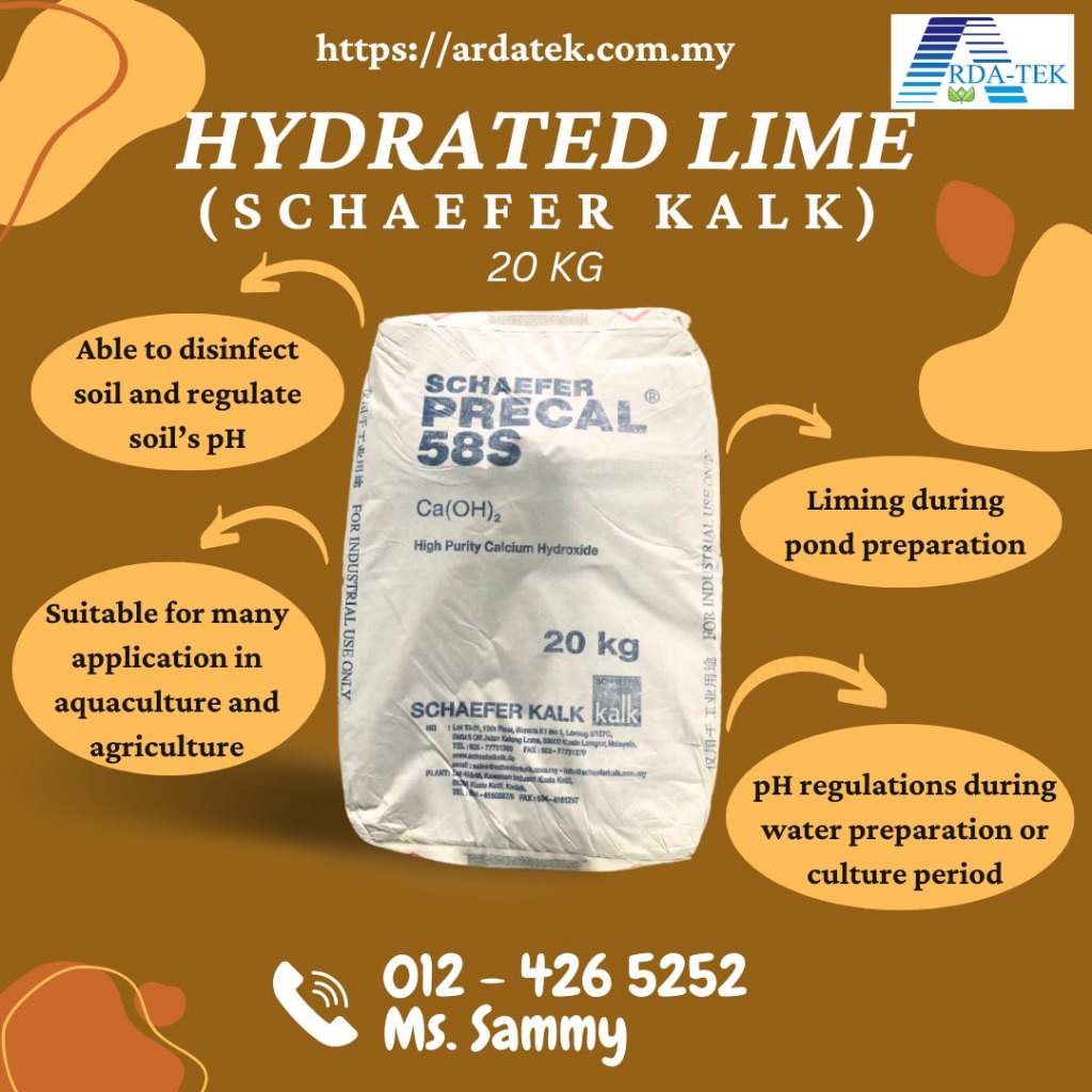HYDRATED LIME (SK) X 20KG / KAPUR PANAS / KAPUR BENDANG | Shopee Malaysia