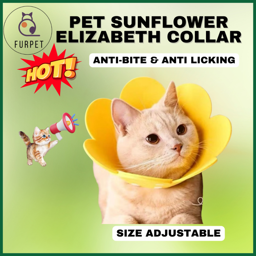 FURPET Cat Collar Cone Elizabeth Pet Dog Collar Neck Colar Kolar Kucing ...