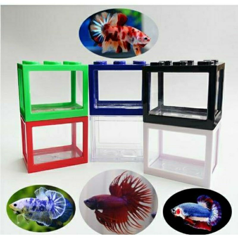 Betta fish Mini Aquarium Fighting Cylinder Rumble LED Building block ...