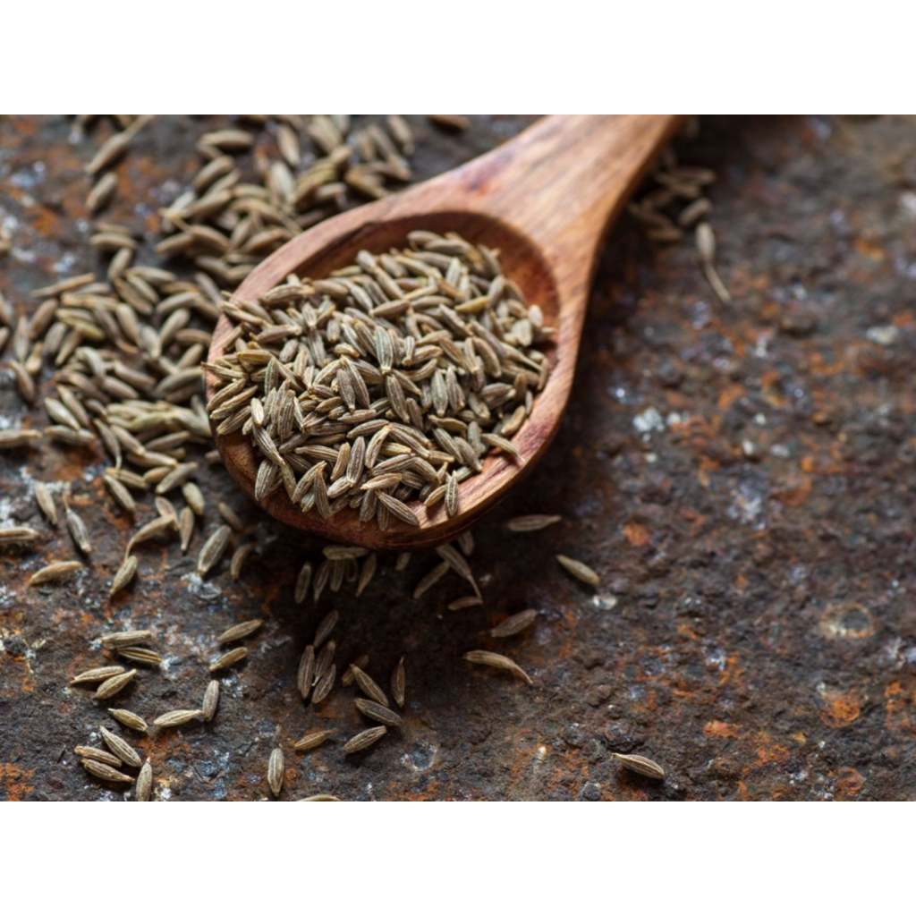 Jintan Putih / Cumin Seeds - 1kg | Shopee Malaysia