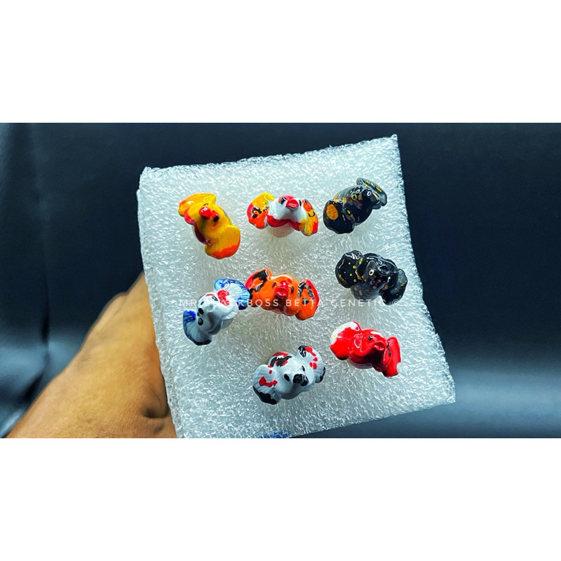 FLARE STICK BETTA FISH STICK IKAN LAGA | Shopee Malaysia