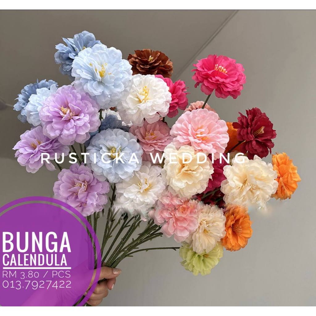Bunga Calendula Flower Calendula | Shopee Malaysia