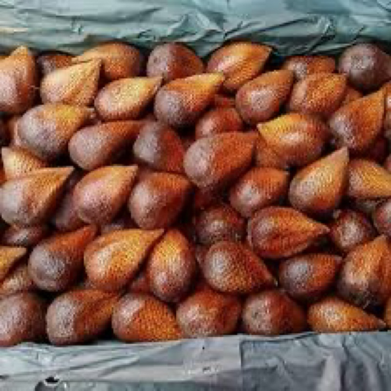 BUAH SALAK PONDOH MANIS 1KG READY STOCK | Shopee Malaysia