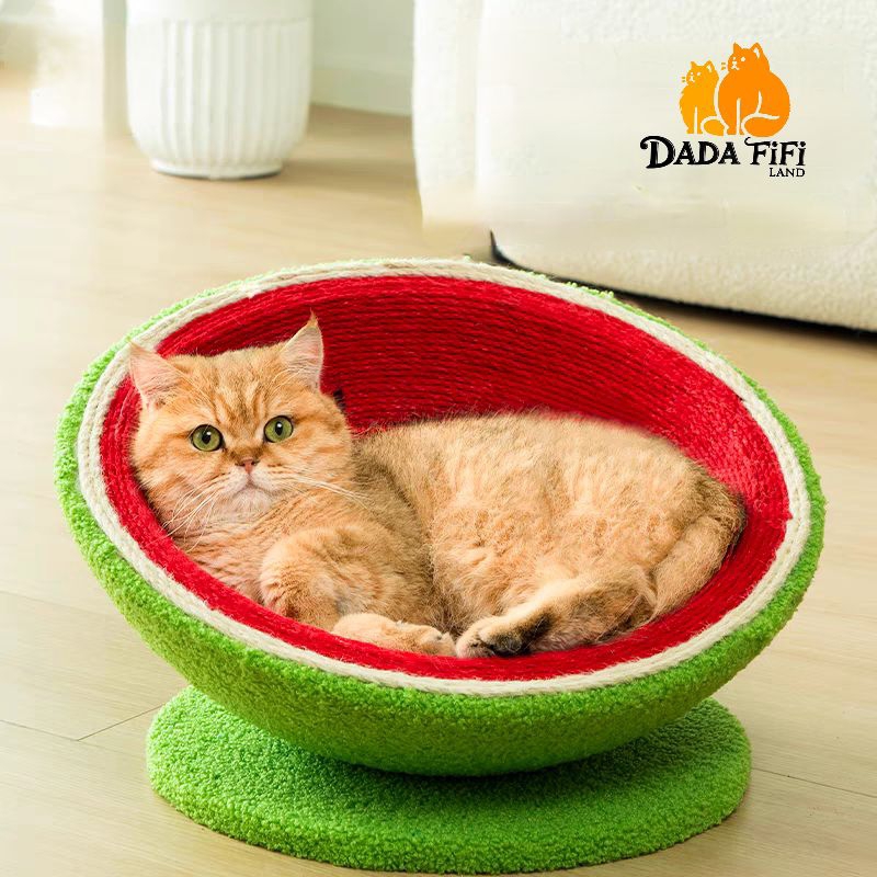 [EXCLUSIVE DESIGN IN SHOPEE] Juicy Watermelon Nest 2 IN 1 Cat Scratcher ...