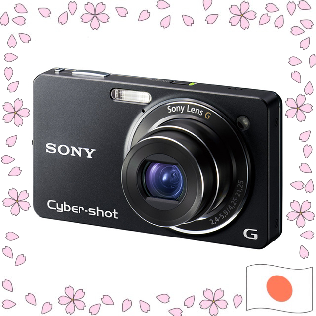 SONY Digital Camera Cybershot WX1 (10.2MP/Optical x5/Digital x10/Black ...