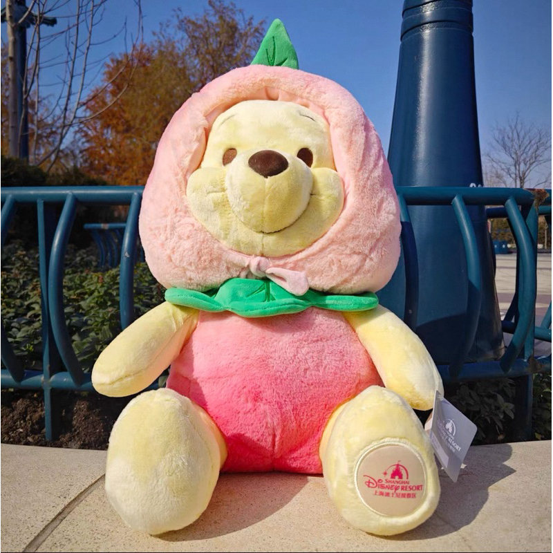 [Ready Stock] AUTHENTIC Shanghai Disney Resort Winnie the Pooh in Peach ...