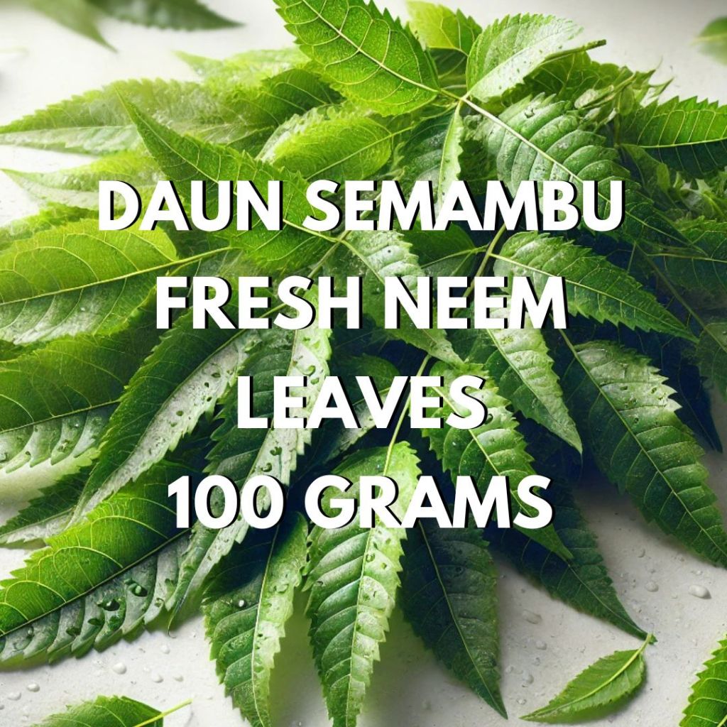 100G Daun Semambu Segar | Neem Leaves Fresh Pos Setiap Hari | Shopee ...