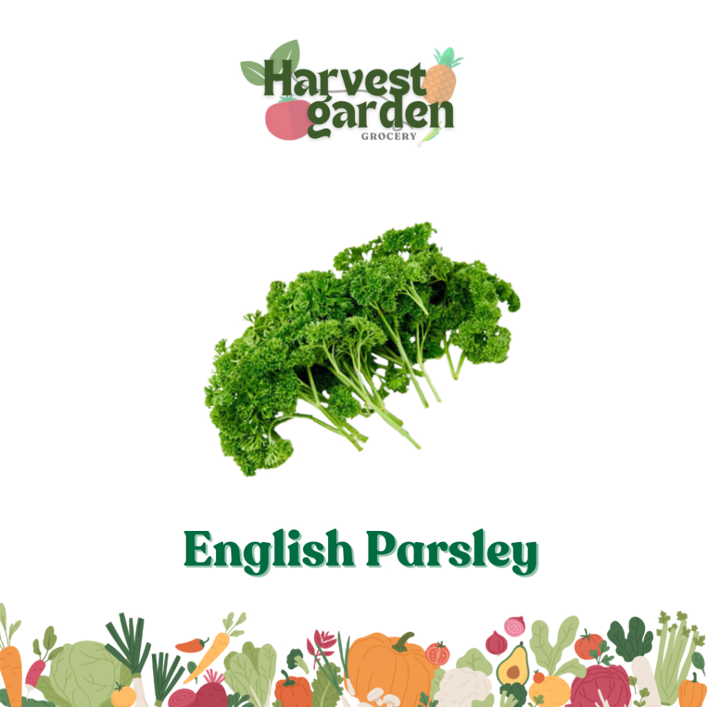 Fresh English Parsley 西式欧芹 // 巴士利 50G | Shopee Malaysia