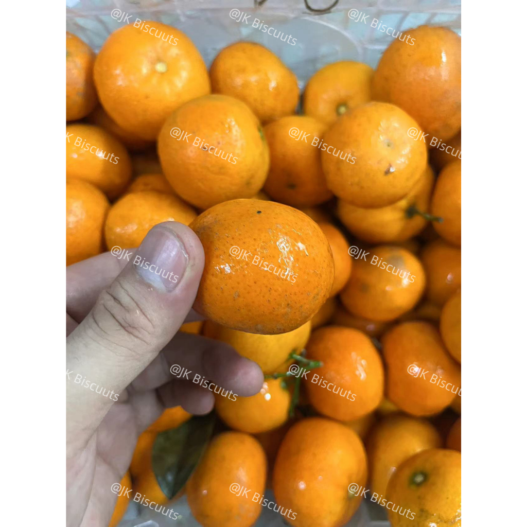 Limau Madu Baby Fresh & Manis manis siki masam；鲜甜 蜜柑 👍👍👍,JK Biscuits ...