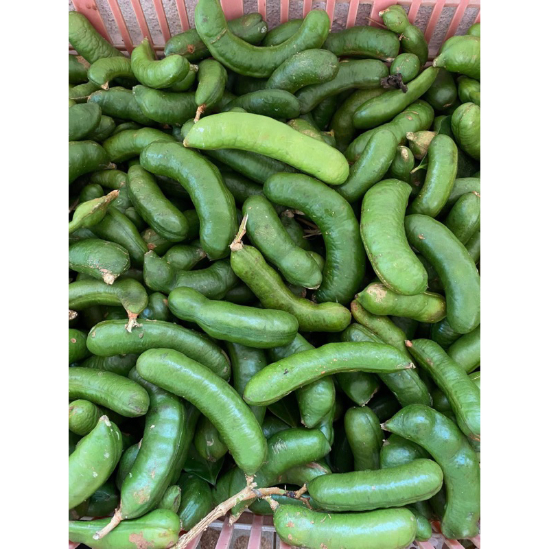 Kerdas Ulam Sedap / Kerdas | Shopee Malaysia