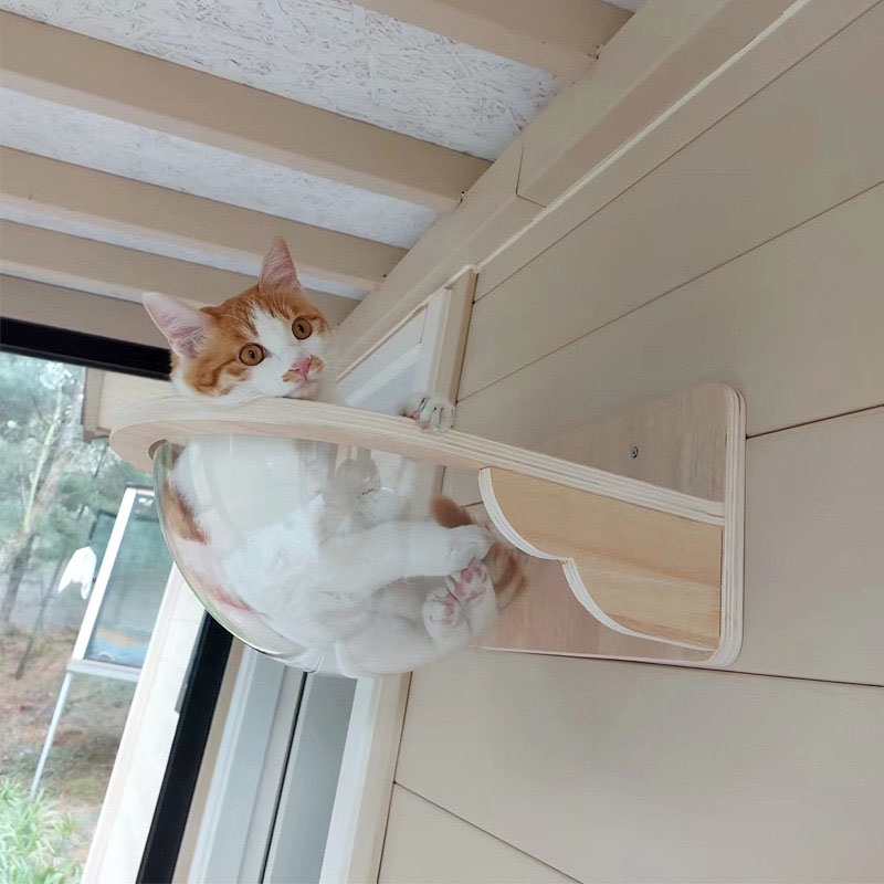 Wall-mounted Big Wooden Cat Space Clear Capsule, Wall Mounted Cat ...