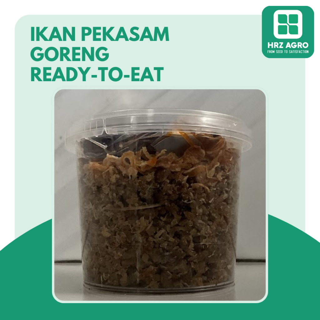Ikan Pekasam Goreng / Ikan Pekasam Homemade / Fried Fermented Fish ...