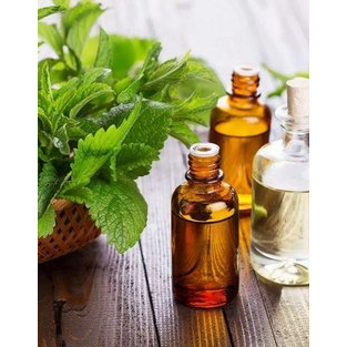 Patchouli Essential Oil Pogostemon Cablin Oil Shopee Malaysia
