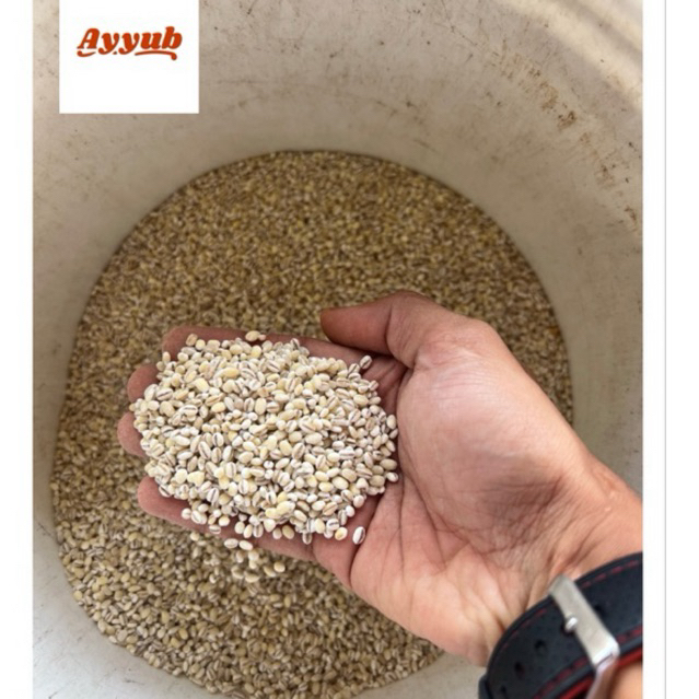 BIJI BARLI 100 GRAM. AIR BARLY. | Shopee Malaysia