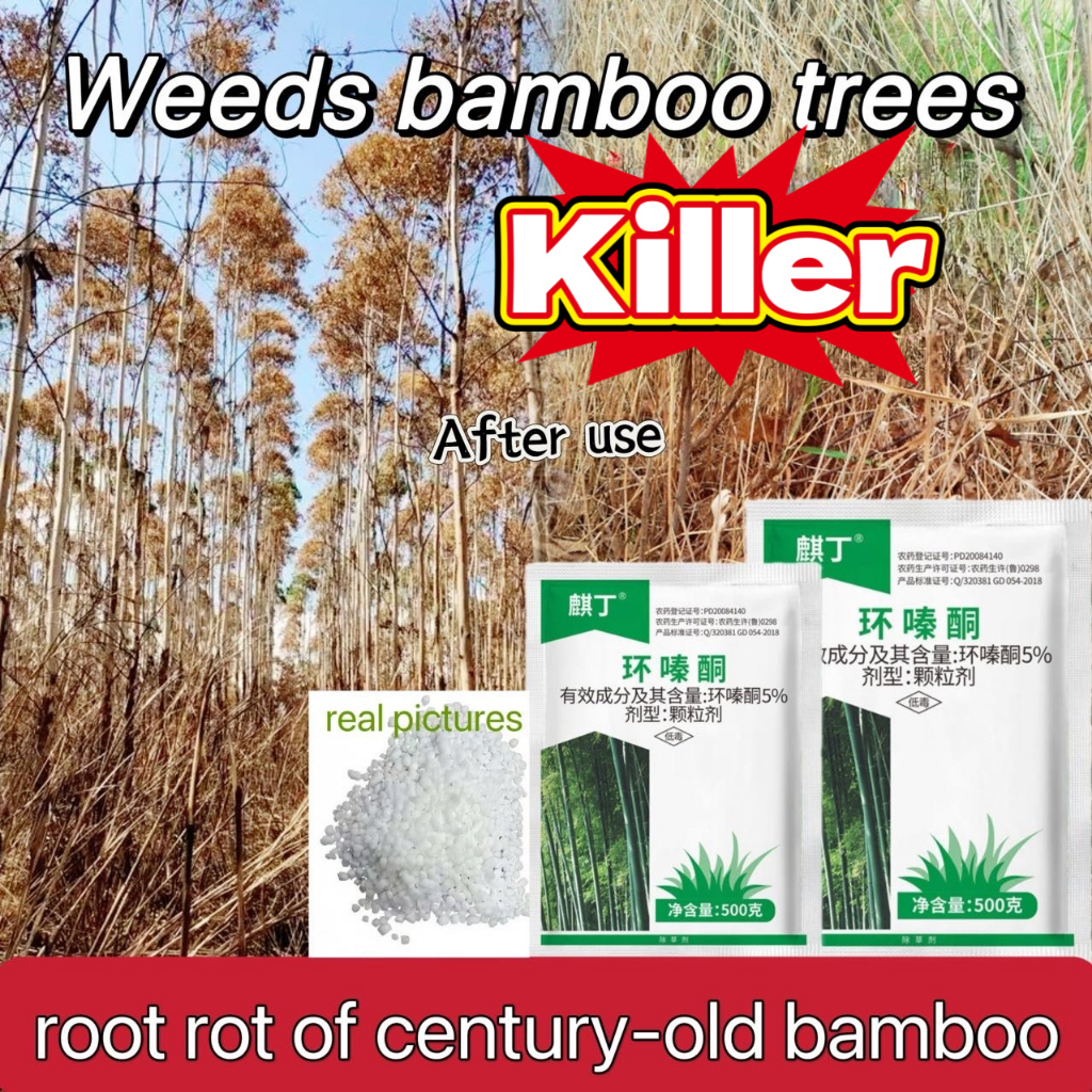 racun rumput cepat mati rabun rumput paling kuat murah rabun rumput ...