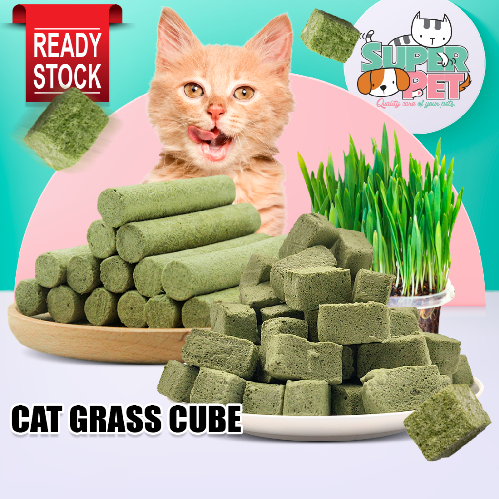 Freeze Dried Cat Grass Cube / Chicken Cat Grass Cube Hairball Removal ...