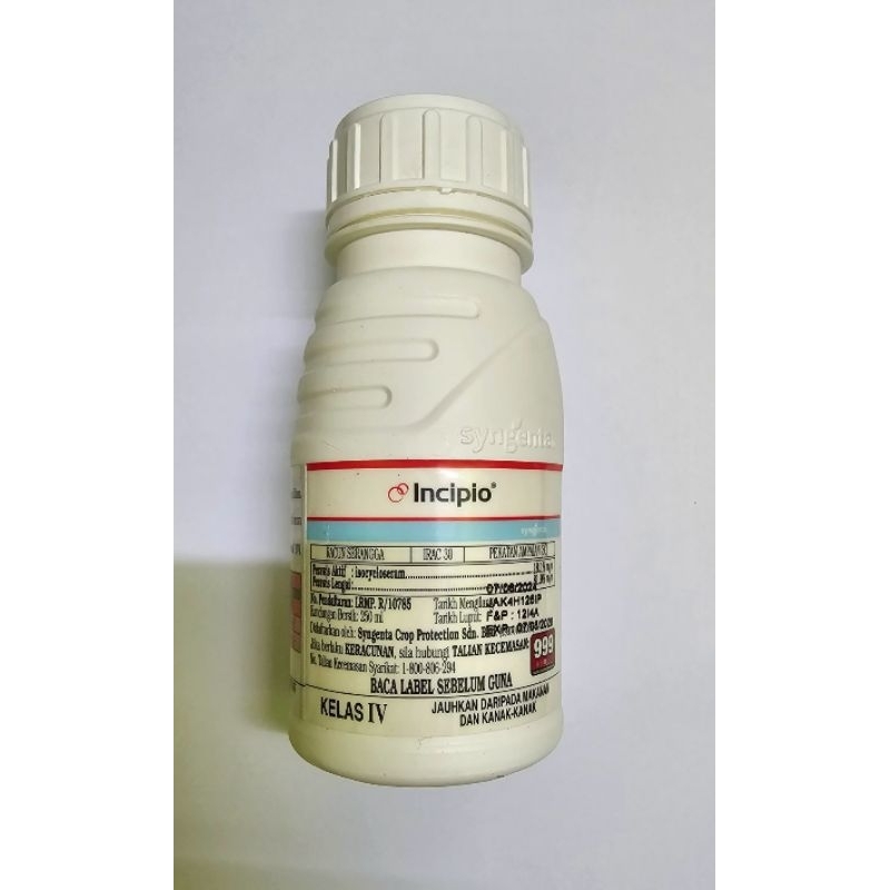 250ML Incipio Syngenta Insecticide Racun Serangga /Paddy Padi ...