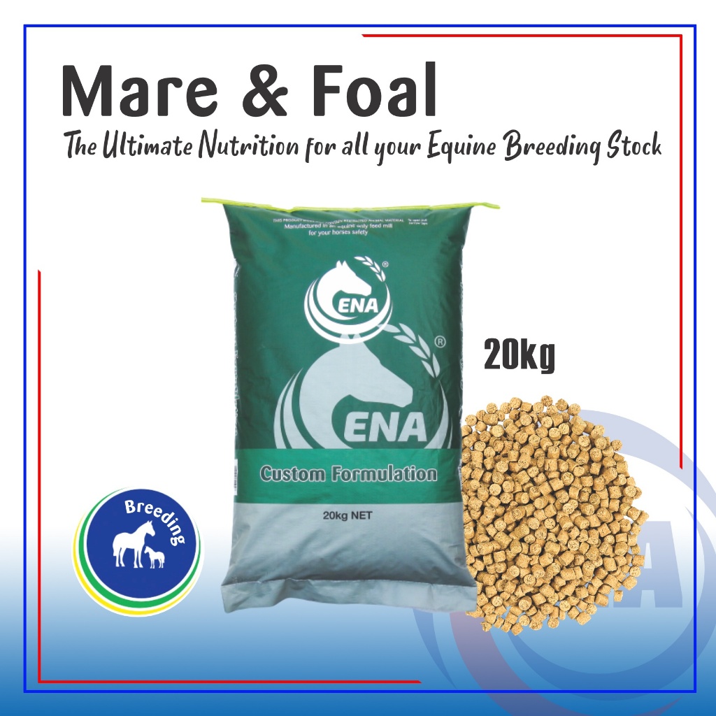 MA mare & foal horse feed 20kg / Makanan Kuda 20kg - The ultimate ...