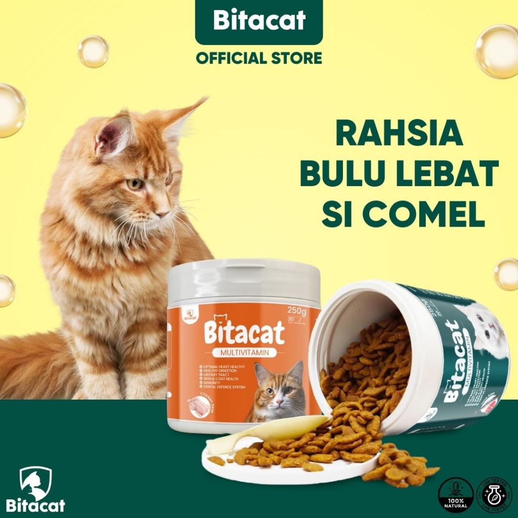 [BITACAT OFFICIAL STORE] BITACAT AYAM BOOSTER KESIHATAN KUCING GEMUK ...