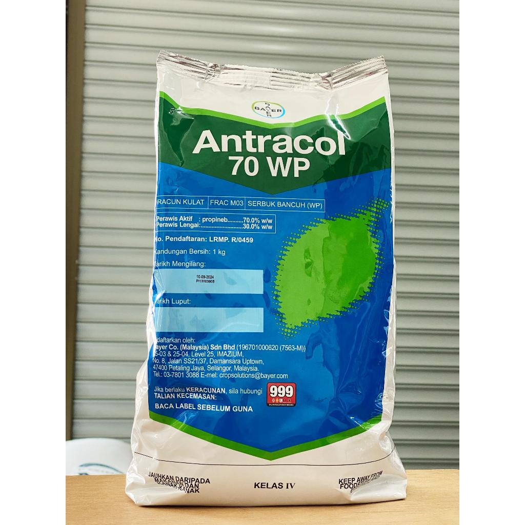 Antracol 70 WP ( racun kulat ) - 1 kg | Shopee Malaysia