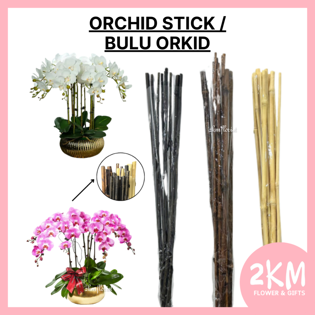 (10PCS) 60CM ORCHID STICK BULUH ORKID Wire Fix Rod Plant Support Curly ...