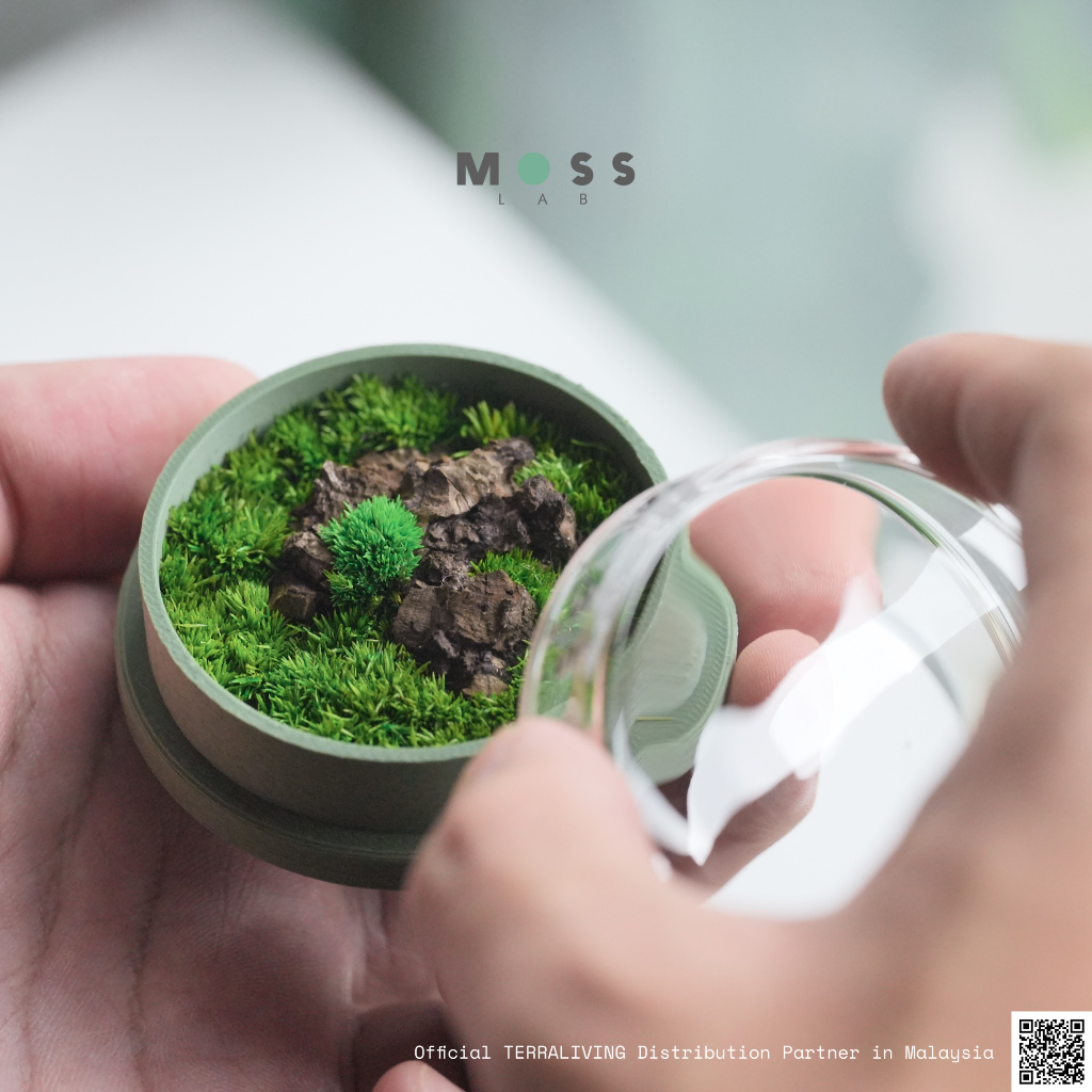 [Preserved Moss Terrarium] The Moss Core - S, Official Licensed ...