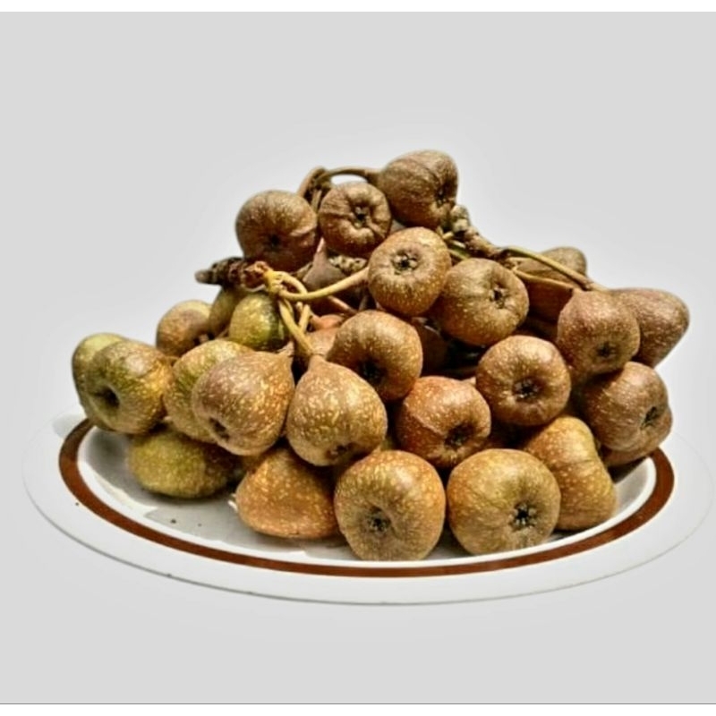 Buah ara hutan liar segar muda atau tua | Shopee Malaysia