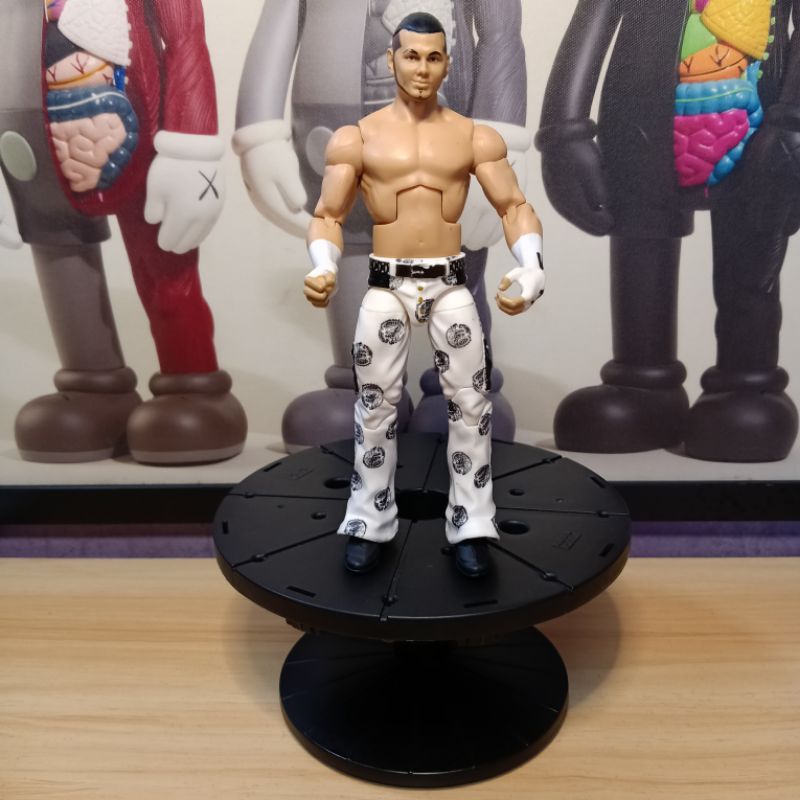 2018 Mattel WWE Summerslam Elite Collection Matt Hardy Wrestling Figure ...