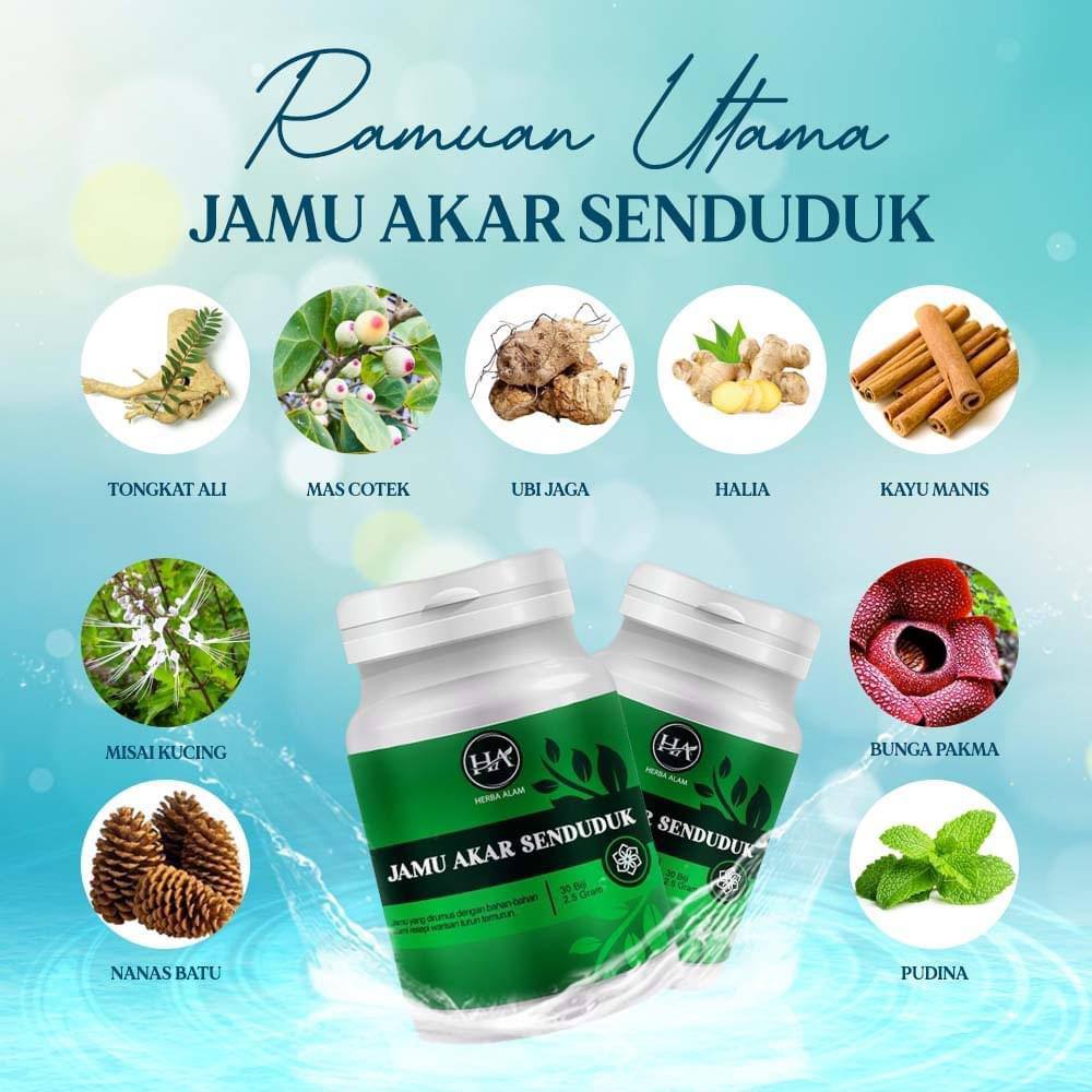 rm22.99 Jamu Akar Senduduk original 1 botol 30biji | Shopee Malaysia