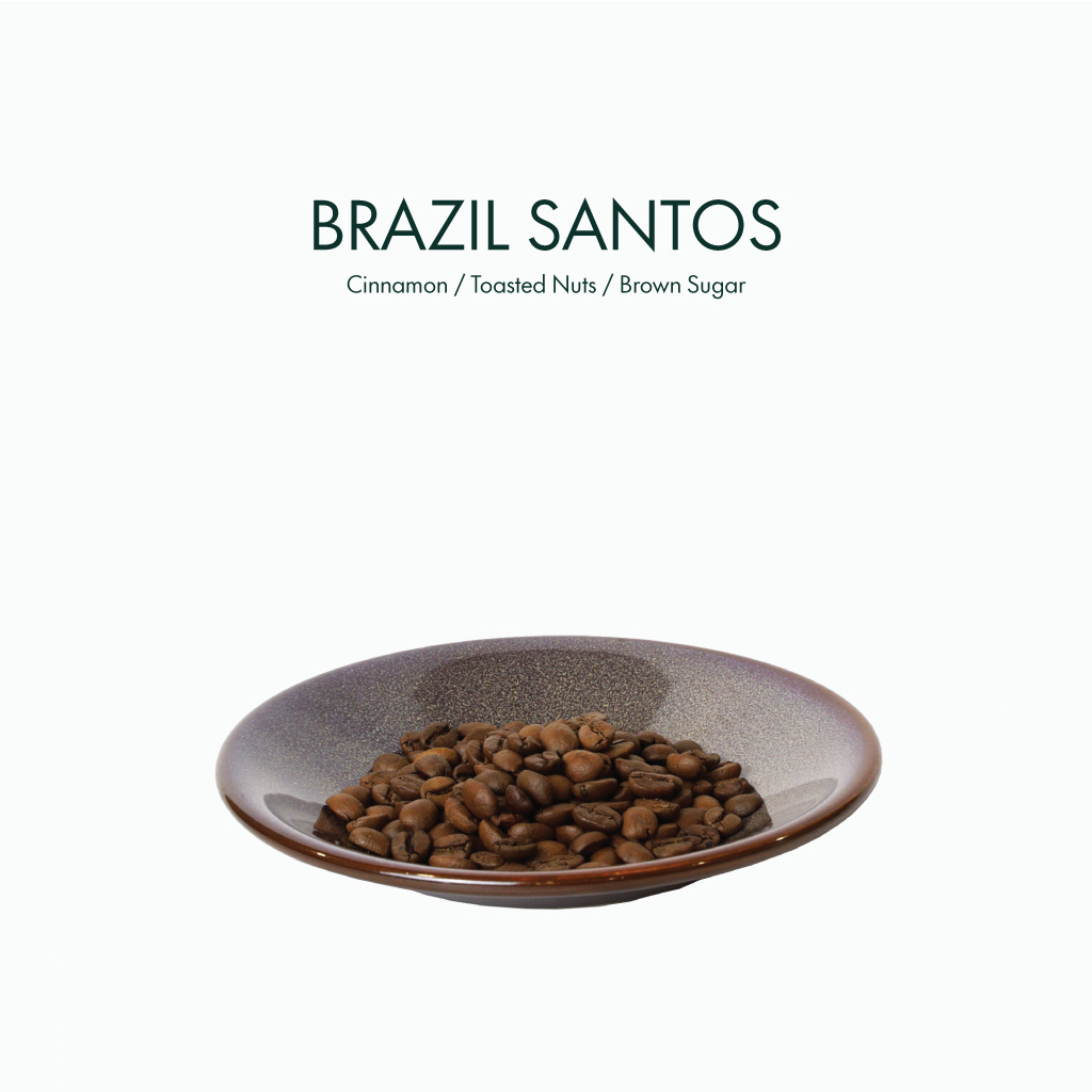 Brazil Santos (Medium Roast, Dry Process) - Single Origin Arabica ...