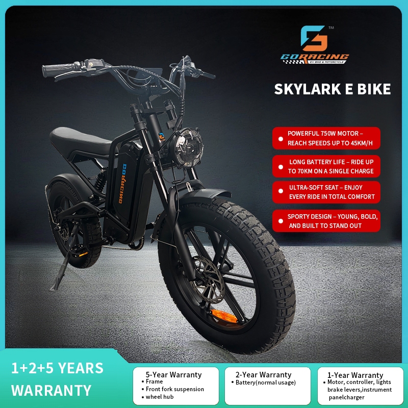 Goracing T02 E-Bike Sporty E-basikal Basikal Dewasa Electric Bicycle Powerful Lithium battery ...