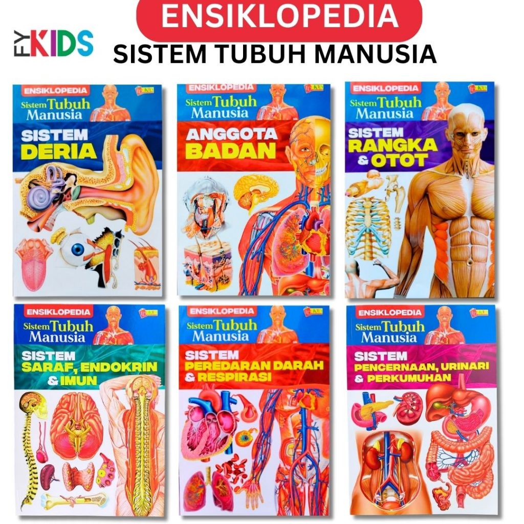 FYKIDS - ENSIKLOPEDIA SISTEM TUBUH MANUSIA - saiz A4-buku anggota badan ...