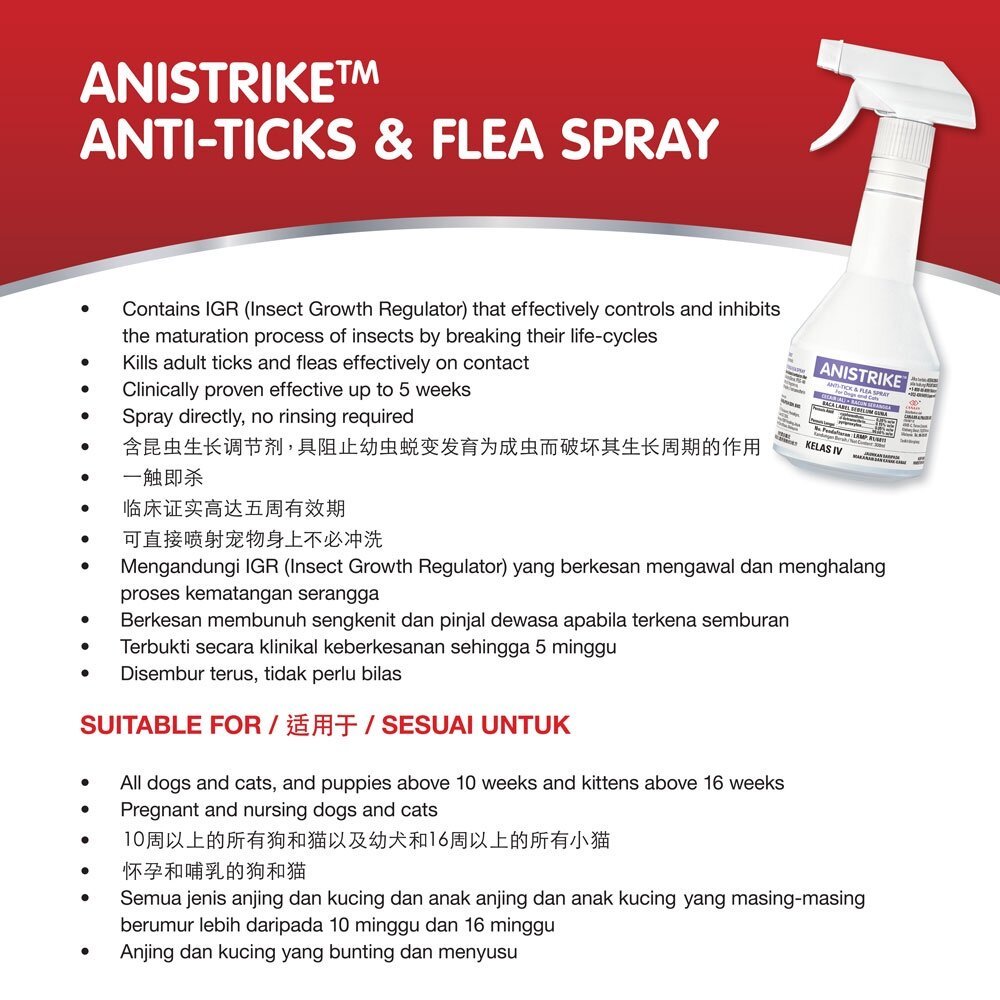 ANISTRIKE LIQUID INSECTICIDE SPRAY 100ML (Anti-Tick & Flea Spray ...