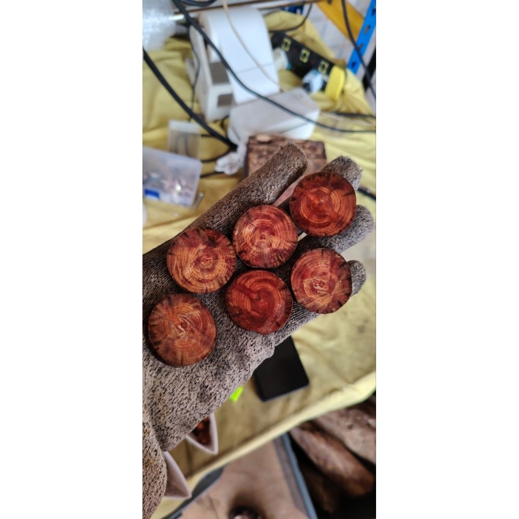 Potongan Teras Raja Kayu merah asli | Shopee Malaysia