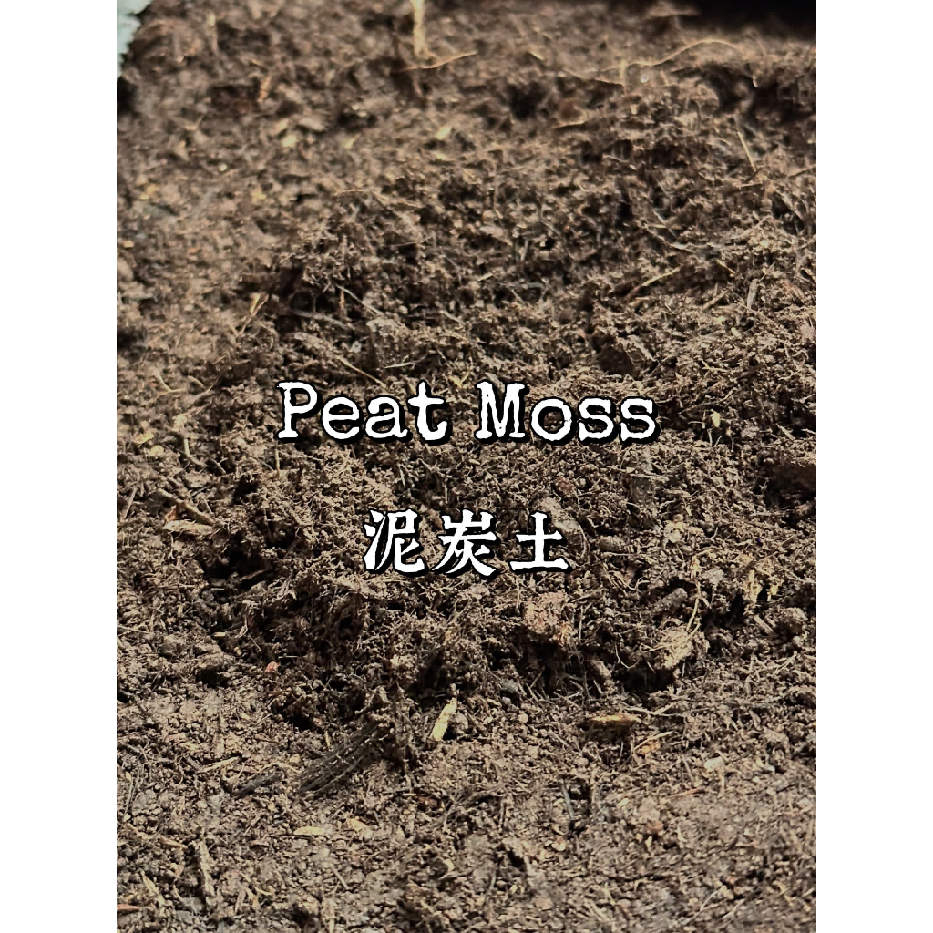Imported Peatmoss/ Peat Moss/ Tanah Semaian/ 泥碳土 3L/6L (Planting Media ...