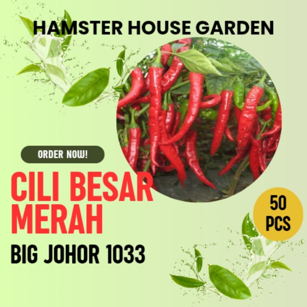 HSK [50pc] CILI BESAR MERAH PEDAS RED CHILI SEED BIG JOHOR 1033 ...