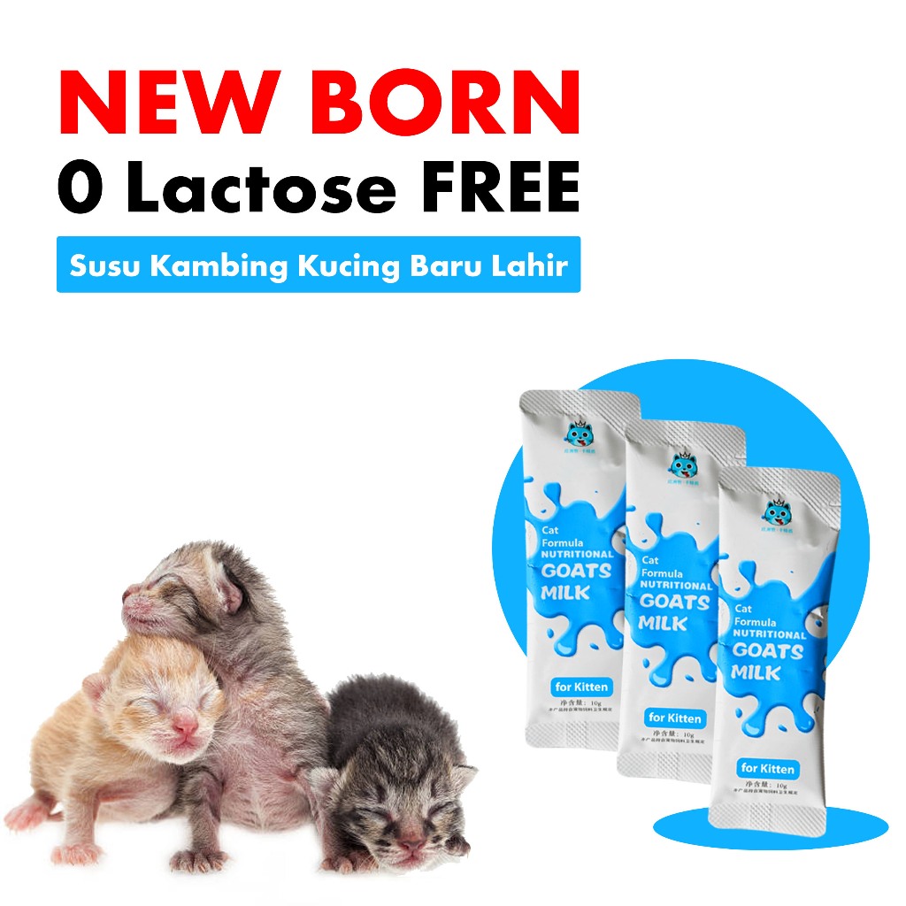 NEWBORN Susu Anak Kucing Baru Lahir Baby Cat Kitten Goat Milk Feeder ...