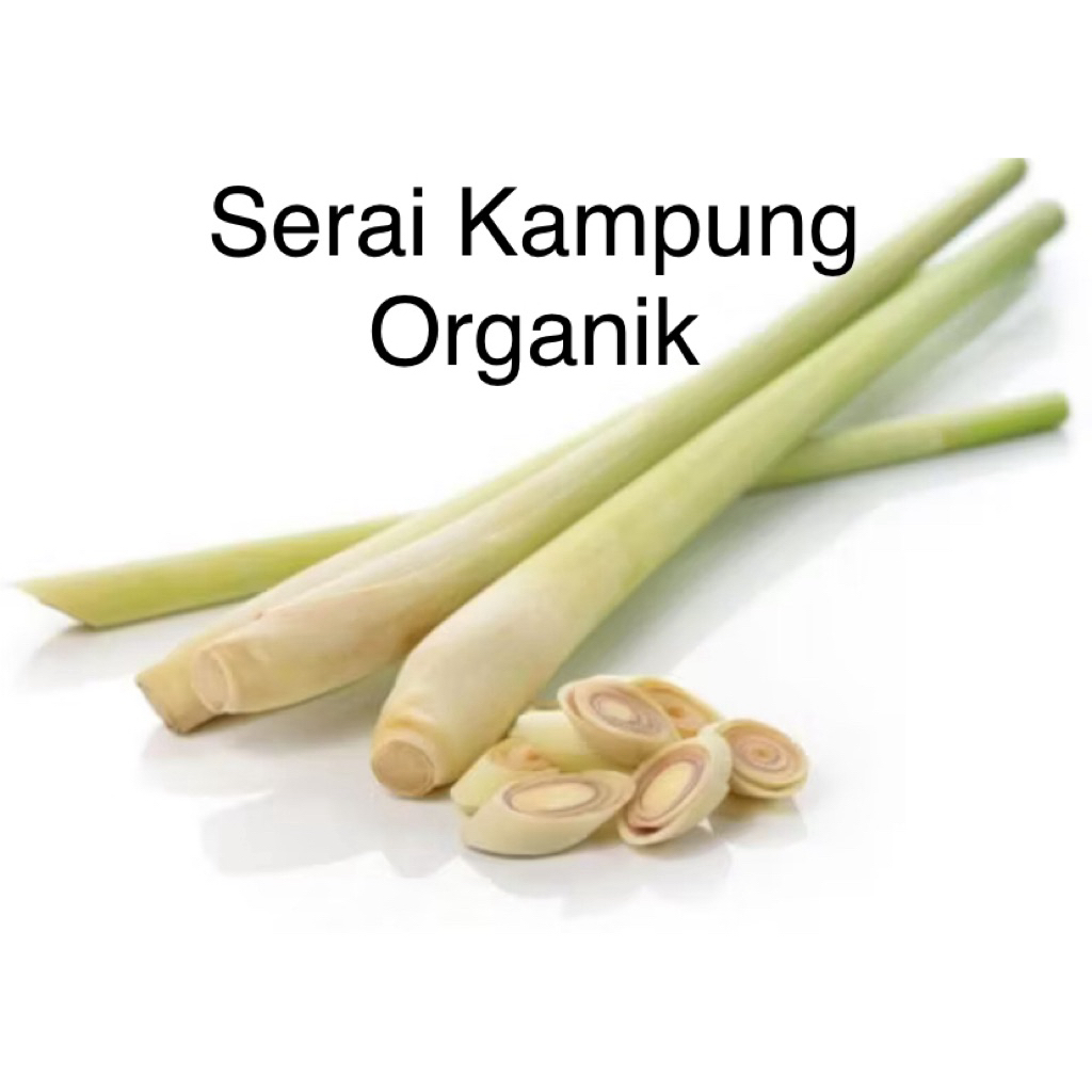 Serai Kampung Organik Segar - RM0.12/ batang | Shopee Malaysia