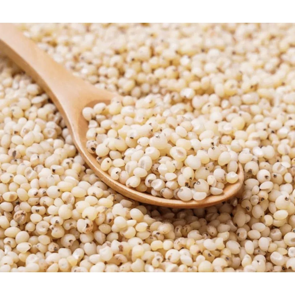 Sorghum Rice 高粱米 Beras Gandum Sorghum 500gm | Shopee Malaysia