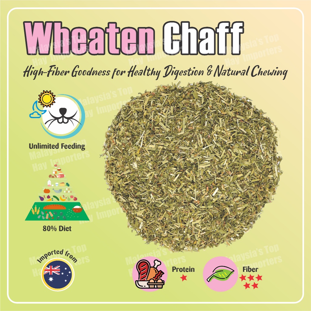 Premium quality - imported Wheaten / Alfalfa chaff for small pets ...
