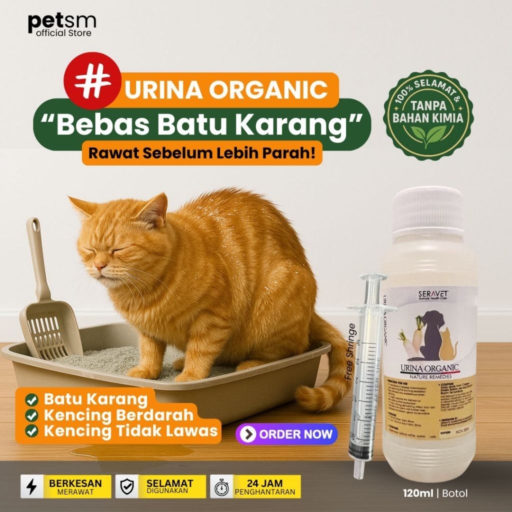𝗨𝗥𝗜𝗡𝗔 𝗢𝗥𝗚𝗔𝗡𝗜𝗖 - Ubat Batu Karang Kucing . Lawas Kencing . Urinari ...