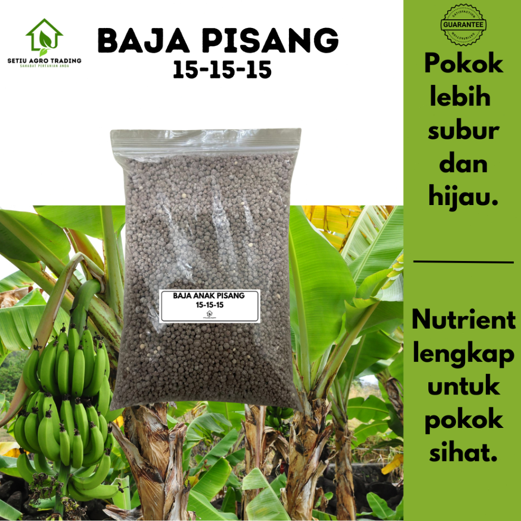 Baja Anak Pisang Kuda Merah | Baja Pertumbuhan Anak Pisang | NPK 15-15 ...