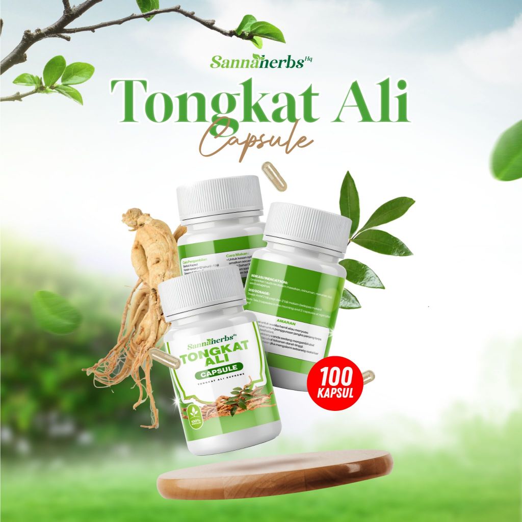 [100 BIJI] Tongkat Ali / Long Jack / Eurycoma Longifolia 100% Tanpa ...