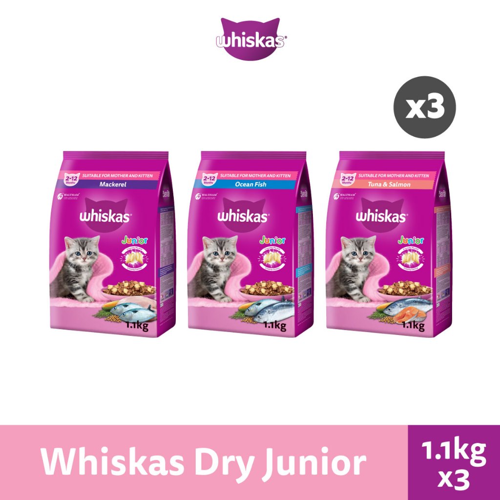 Whiskas Dry Junior Kitten Food - Mackerel / Ocean Fish / Tuna Salmon 1 ...