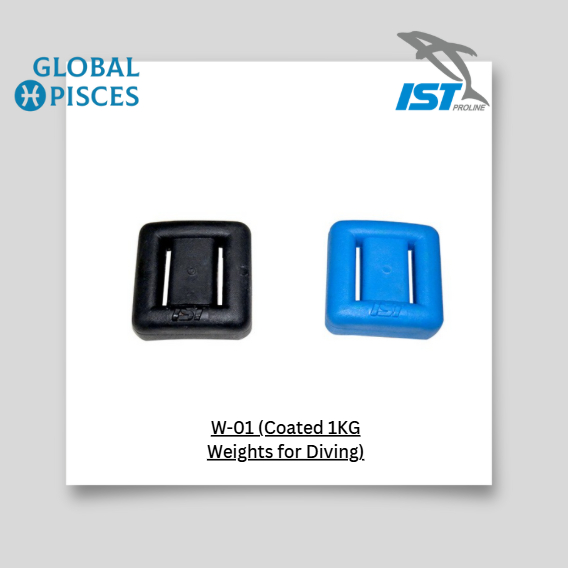 W-01 (Coated 1KG Weights for Diving) | Shopee Malaysia