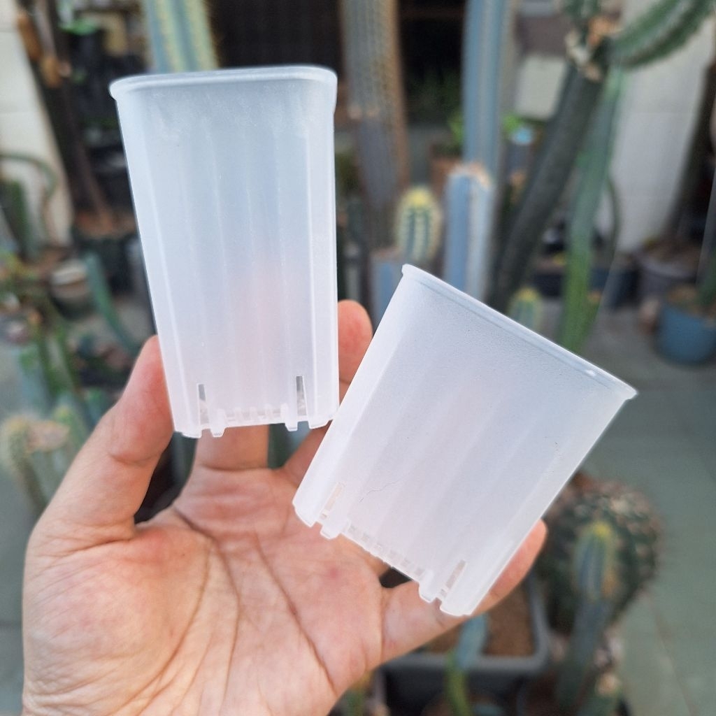 Pasu bunga plastik / Transparent Square Plastic Pot 透明四方塑料盆 (10pcs ...