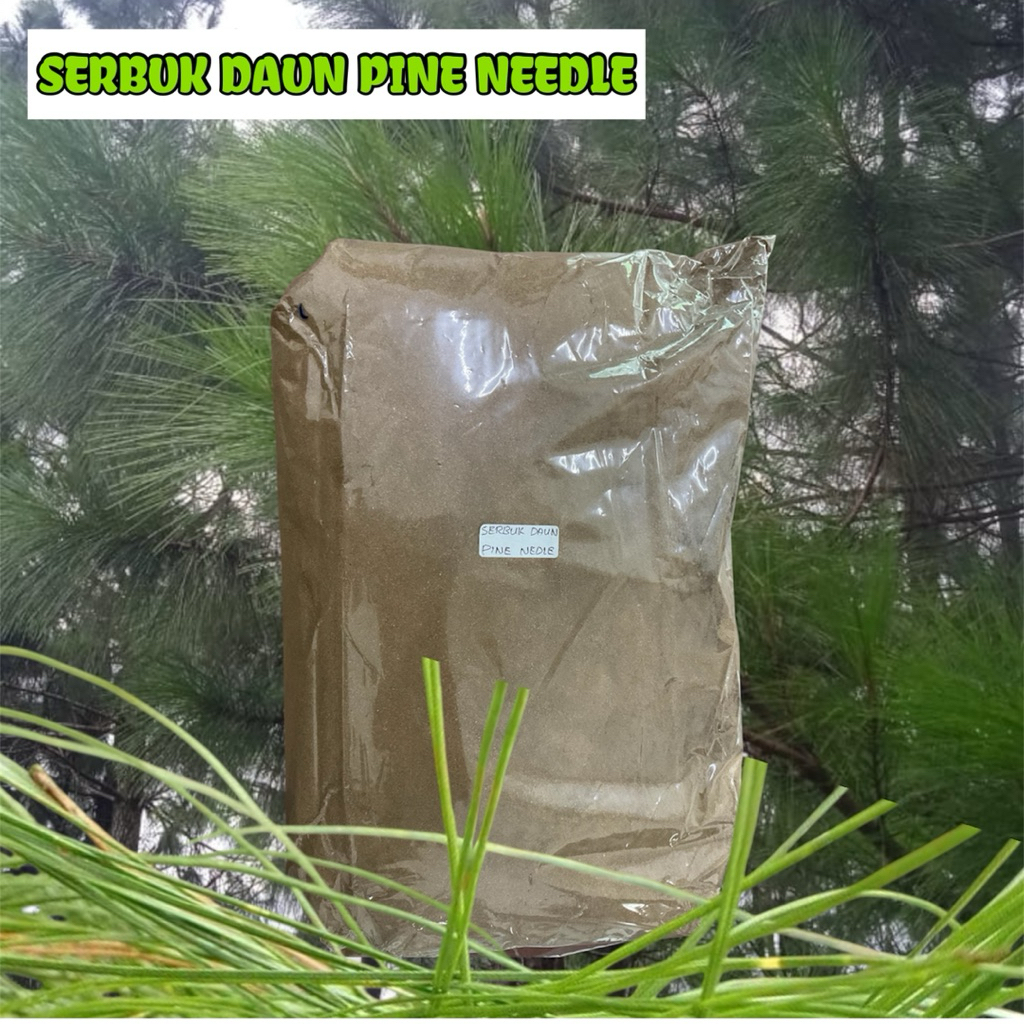 SERBUK DAUN PINE NEEDLE 100g | Shopee Malaysia