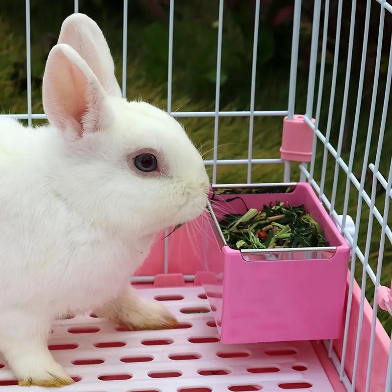 XXW Long Lasting Rabbit Food Bowl Hanging Cage bowl Bekas Makanan ...